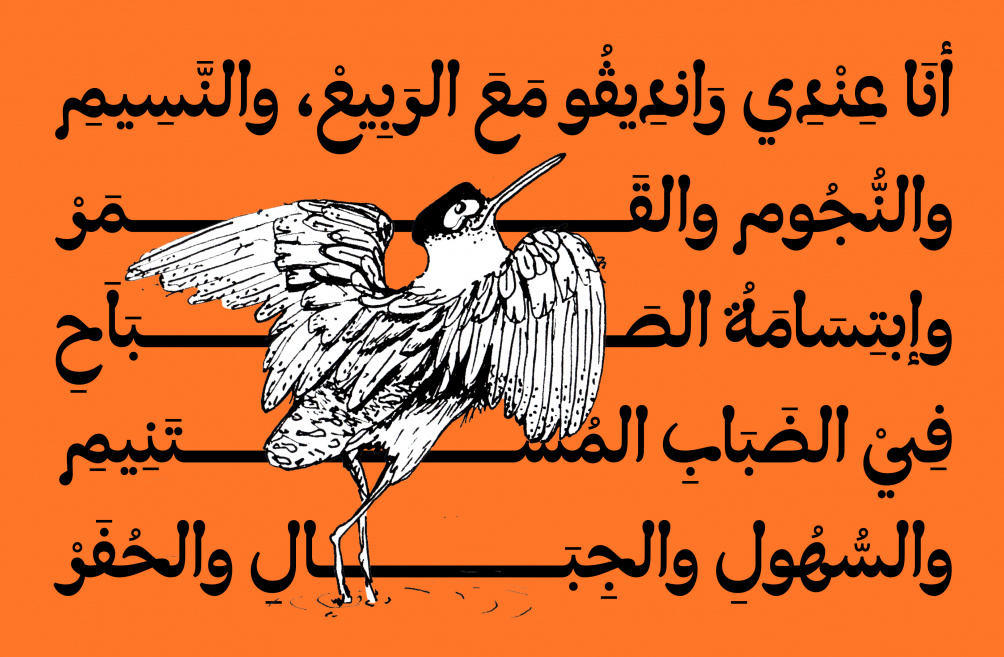 TPTQ Arabic: Hudhud, where solid and fluid Arabic forms meet