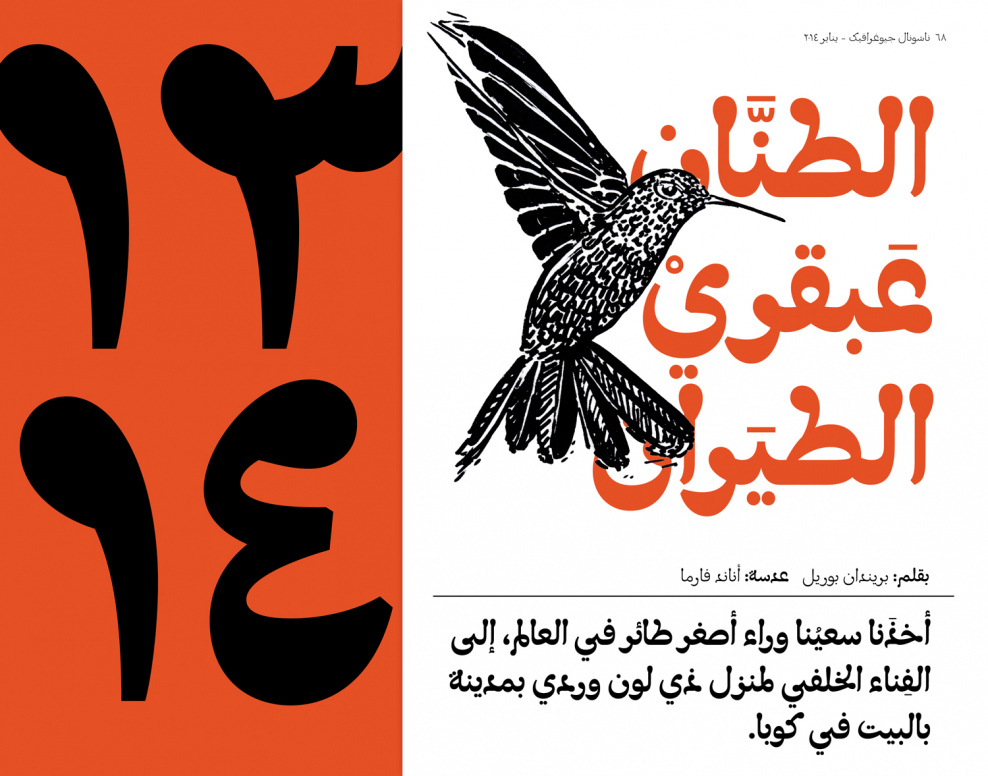 TPTQ Arabic: Hudhud, where solid and fluid Arabic forms meet